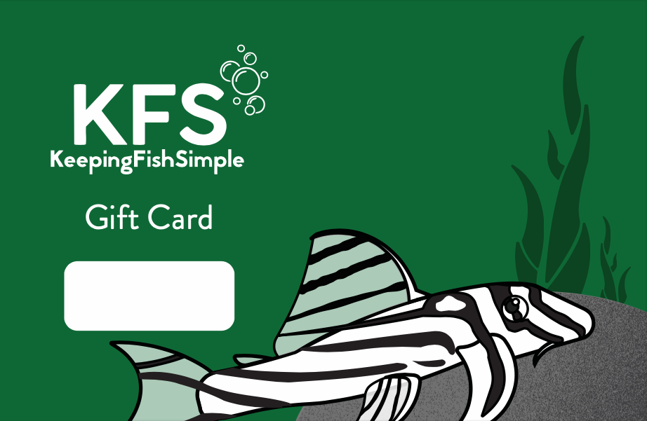 KeepingFishSimple Gift Card