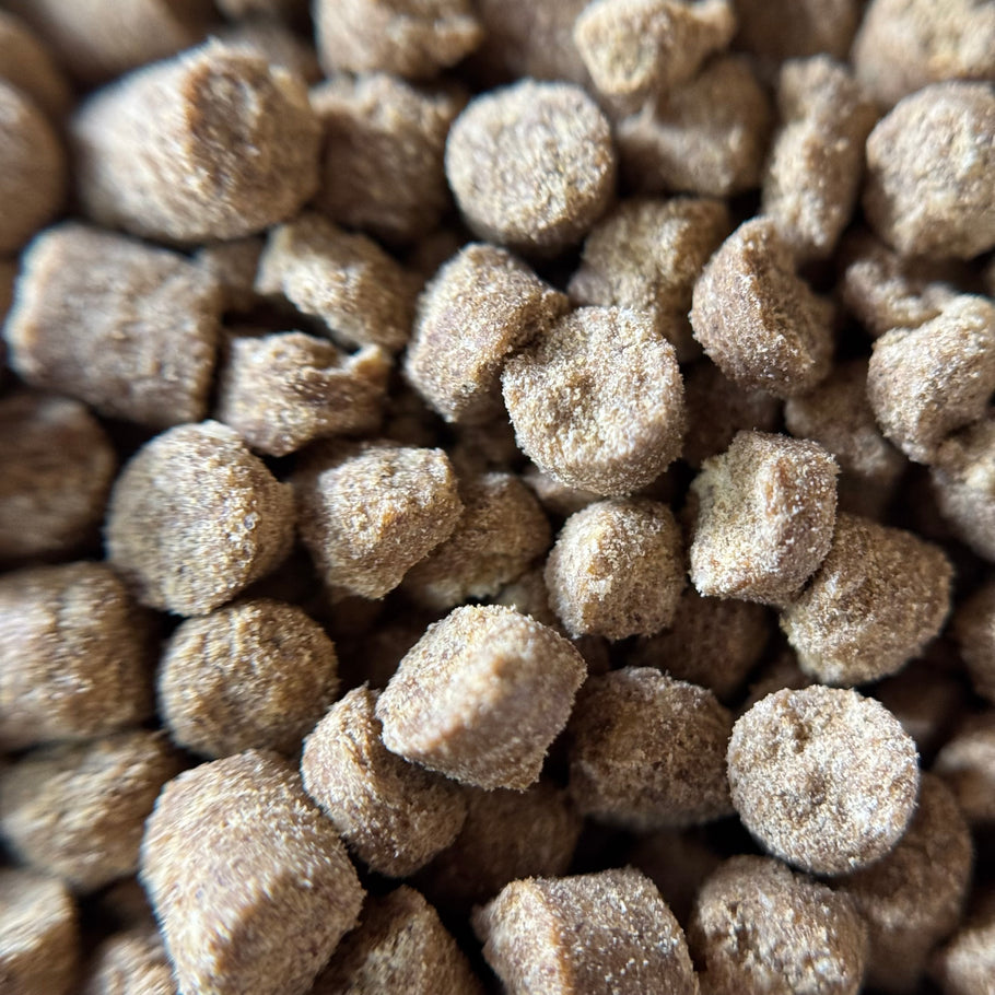 Bug Buffet Fish Food | Insect-Based Nano Pellets by PureFin ...