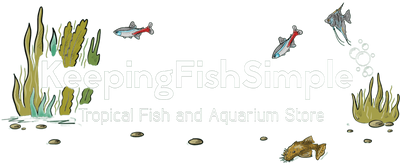 Bug Buffet Fish Food – KeepingFishSimple