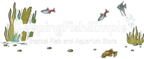 Bug Buffet Fish Food – KeepingFishSimple