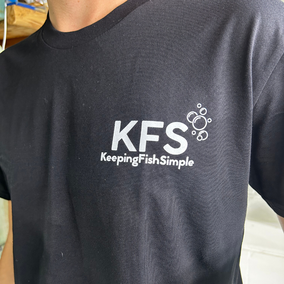 Merchandise – KeepingFishSimple
